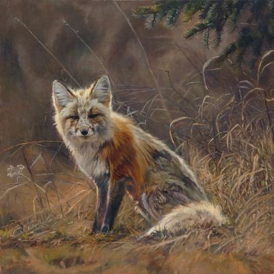 Watching You, Watching Me - Red Fox Giclee Print - Kelly Singleton ...