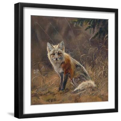 Watching You, Watching Me - Red Fox Framed Giclee Print - Kelly ...