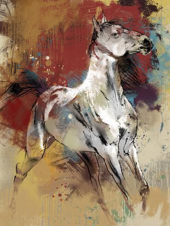Balius Giclee Print - Ken Hurd | Art.com
