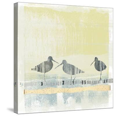 'Coastal Birds II' Stretched Canvas Print - Ken Hurd | Art.com