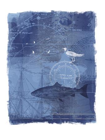 'Cyanotype II' Giclee Print - Ken Hurd | Art.com