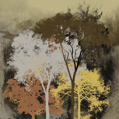 Forest Glow II Giclee Print - Ken Hurd | Art.com