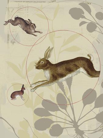 Life Cycle II Giclee Print - Ken Hurd | Art.com