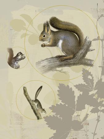 Life Cycle III Giclee Print - Ken Hurd | Art.com