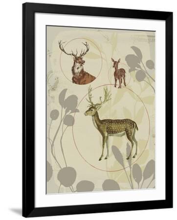 'Life Cycle V' Framed Giclee Print - Ken Hurd | Art.com