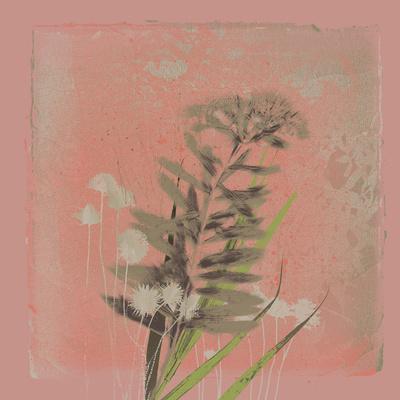 Natures Harmony IV Giclee Print - Ken Hurd | Art.com