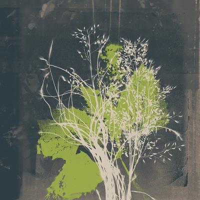 Natures Harmony VII Giclee Print - Ken Hurd | Art.com