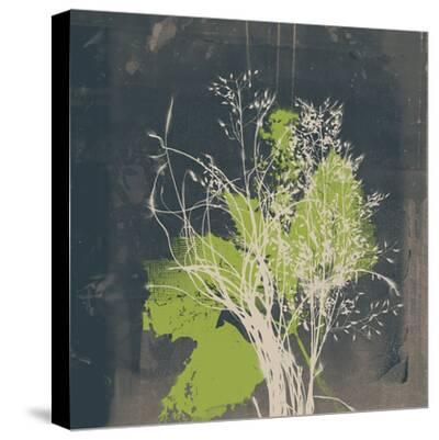 'Natures Harmony VII' Stretched Canvas Print - Ken Hurd | Art.com