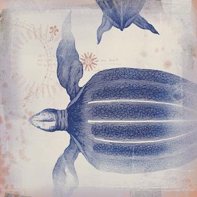 Oceanus Turturem Giclee Print - Ken Hurd | Art.com