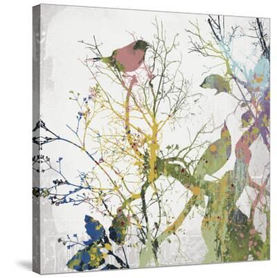 Painted Birds I Stretched Canvas Print - Ken Hurd | Art.com