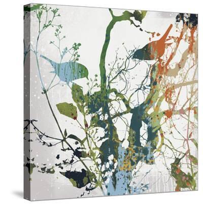 Painted Birds II Stretched Canvas Print - Ken Hurd | Art.com