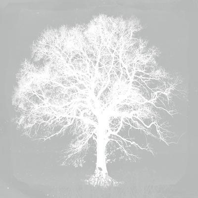 Pastel Forest III Giclee Print - Ken Hurd | Art.com