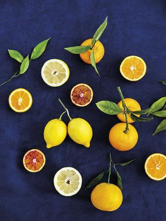 Sicilian Citrus Fruit Giclee Print - Ken Scicluna | Art.com