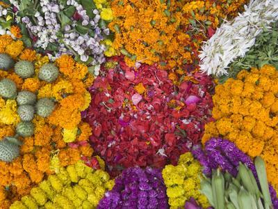 'Selling Flowers for Diwali, Festival of Lights, Varanasi, India ...