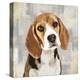 'Beagle' Art Print - Keri Rodgers | Art.com