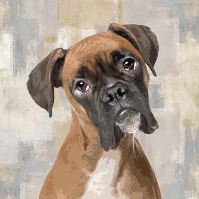 'Boxer' Art Print - Keri Rodgers | Art.com