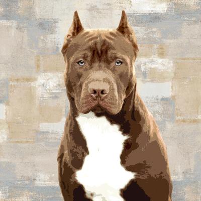 'Pit Bull' Art Print - Keri Rodgers | Art.com