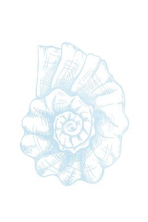 'Light Blue Shell 1' Art Print - Kimberly Allen | Art.com