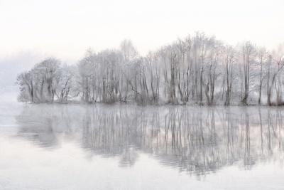 'Mist Lake' Art Print - Kimberly Allen | Art.com