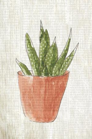 'Spring Cactus 2' Art Print - Kimberly Allen | Art.com