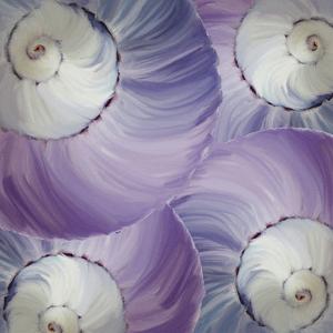 Beautiful Seashells artwork for sale, Prints and Posters | Art.com