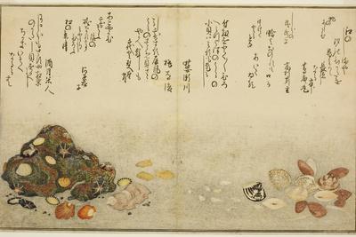 Ashi-gai, hamaguri, ko-gai, suzume-gai, akoya-gai, and katashi-gai ...