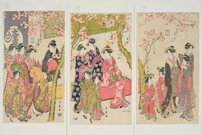 'Courtesans Strolling beneath Cherry Trees before the Daiko, C.1789 ...