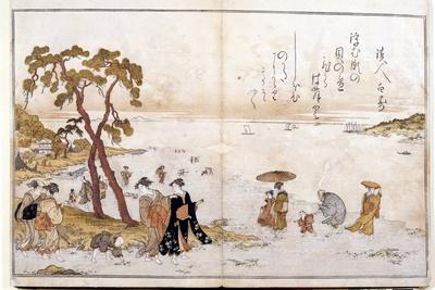 'Donations from the Low Tide, 1790: the Search for Shells for the Game ...