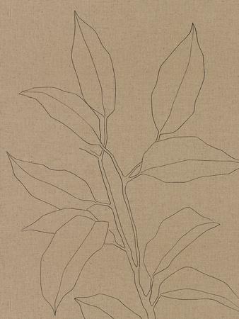 Botanical Sketch - Fronds Giclee Print - Kristine Hegre | Art.com