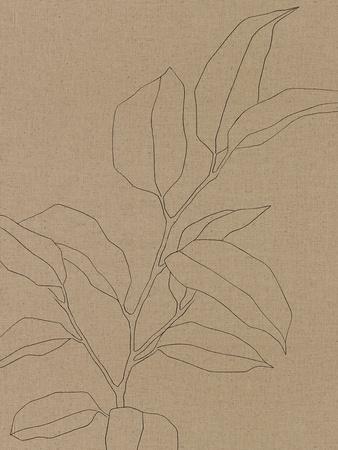 Botanical Sketch - Leaves Giclee Print - Kristine Hegre | Art.com