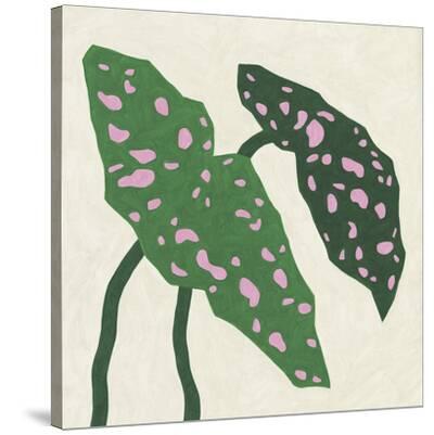 Bright Botanica - Leaf Stretched Canvas Print - Kristine Hegre | Art.com