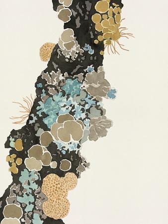 Fungi Forms - Flourish Giclee Print - Kristine Hegre | Art.com