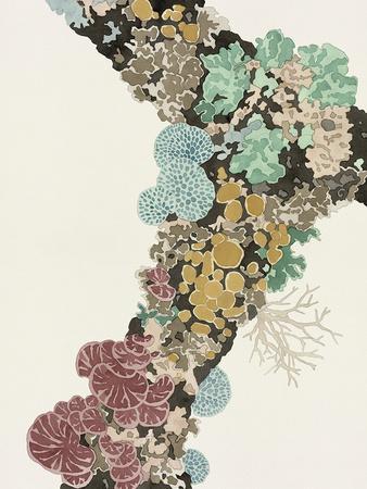 Fungi Forms - Grow Giclee Print - Kristine Hegre | Art.com