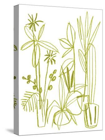 Naive Plants - Thrive Stretched Canvas Print - Kristine Hegre | Art.com