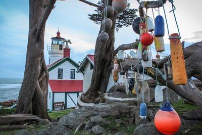 Lighthouse and Buoys on a Tree Photographic Print - kyletperry | Art.com