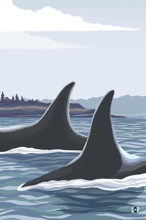 'Orca Whale Fins' Art Print - Lantern Press | Art.com