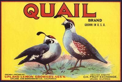 'Quail Brand - Upland, California - Citrus Crate Label' Art Print ...