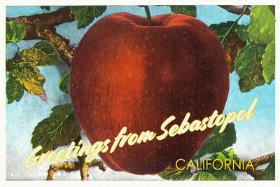 'Sebastopol, California - Home of the Big Red Apple - Greetings from ...