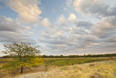 'Clouds over the Prairie at Sunset, Texas, USA' Photographic Print ...