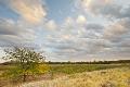 'Clouds over the Prairie at Sunset, Texas, USA' Photographic Print ...