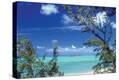 Pelican Cay Premium Photographic Print - Larry Malvin | Art.com