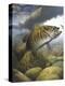 'Smallmouth Bass' Giclee Print - Larry Tople | Art.com