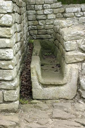 Latrine of the Bath Establishment (Public Baths) in the Roman Fort ...