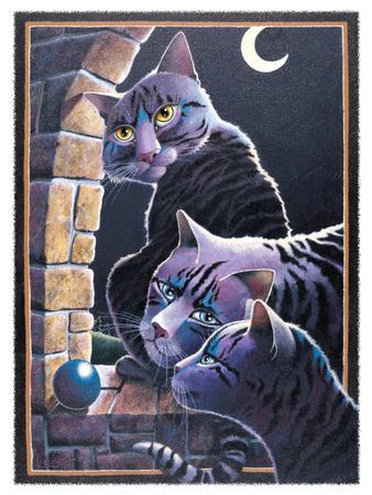 'Black Magic' Art Print - Laura Seeley | Art.com