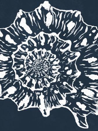 'Blue Seashell' Art Print - Leah Noel Art | Art.com