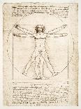 'The Proportions of the Human Figure (After Vitruvius), C.1492 ...