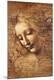 'Leonardo Da Vinci (Female Head, La Scapigliata)' Art Print | Art.com