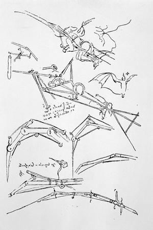 Leonardo Da Vinci Flying Machine Blueprints