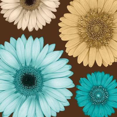 'Daisy Quartet I' Art Print - Lindsay Blake | Art.com
