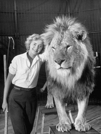 Lion Friend